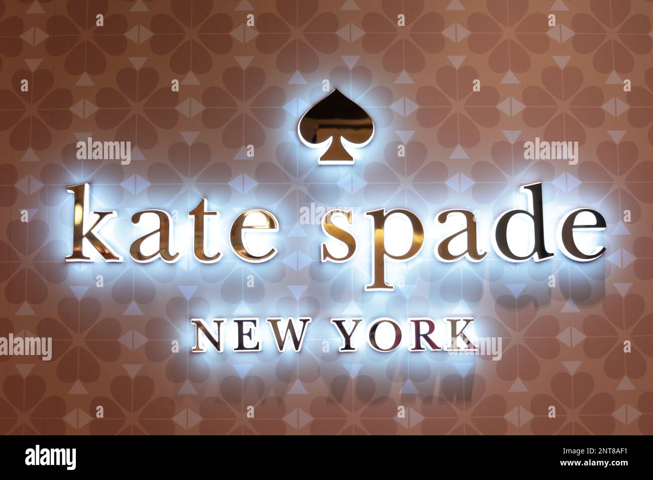 Kate Name Logo Kate Name (@katedoeswhat) • Instagram Photos And