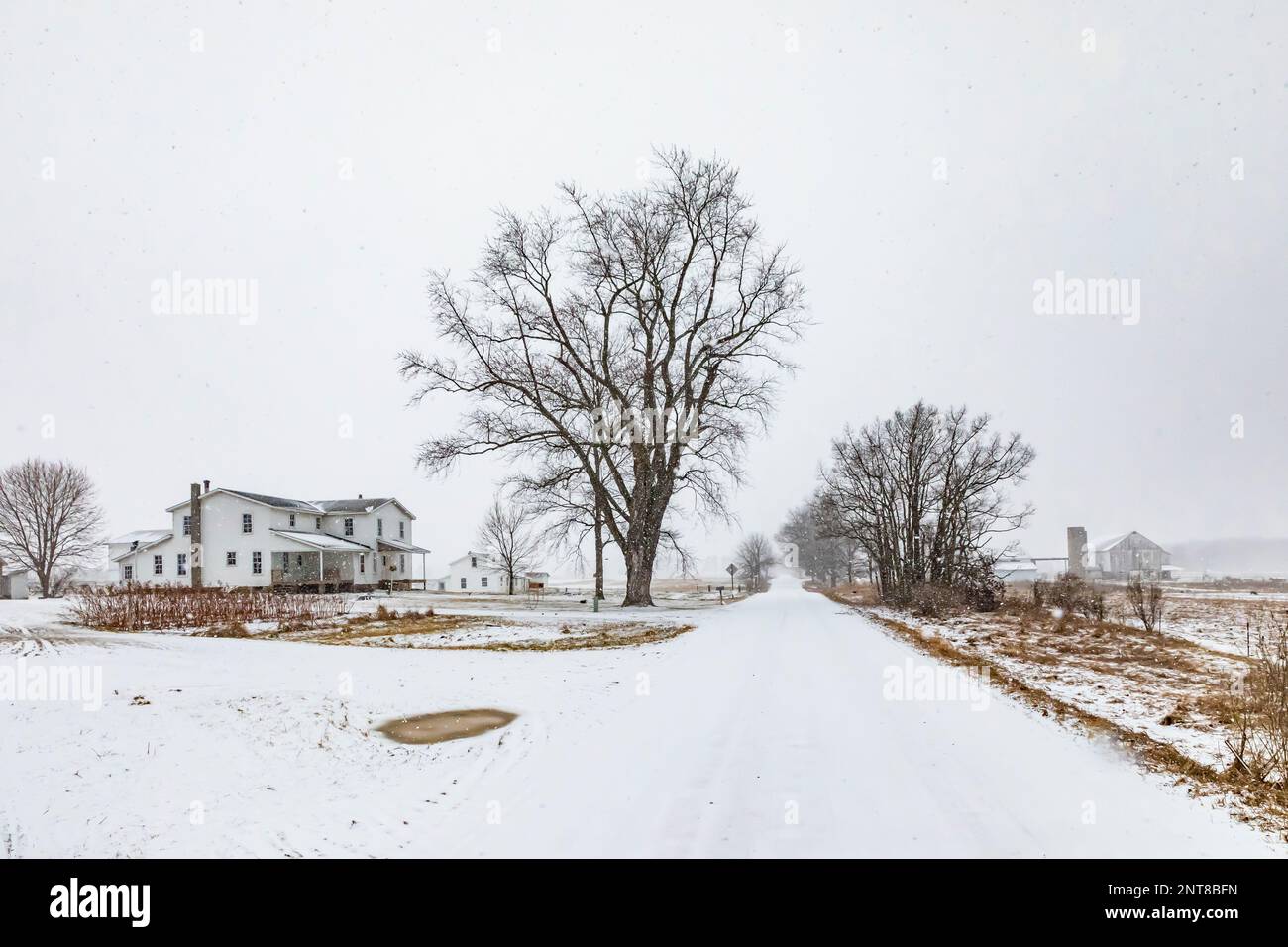 Amish farms hi-res stock photography and images - Alamy