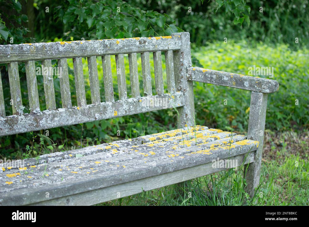 Teak garden bench hi-res stock photography and images - Alamy