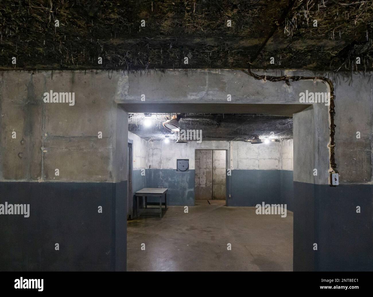 A labyrinth of interior rooms comprise the Battery 236 Historic Bunker ...