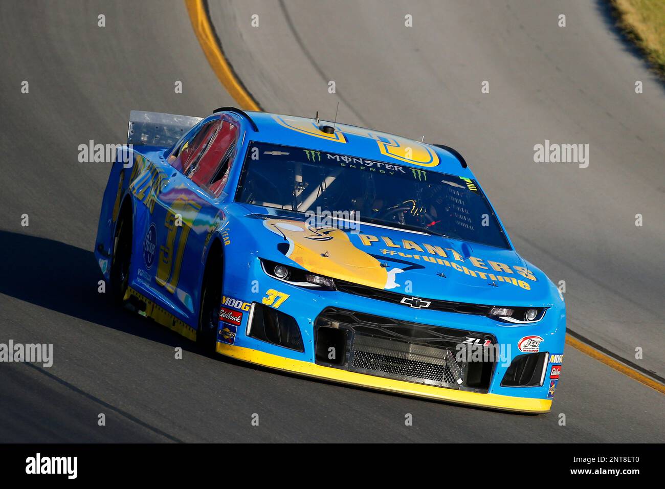 #37: Chris Buescher, JTG Daugherty Racing, Chevrolet Camaro Planters ...