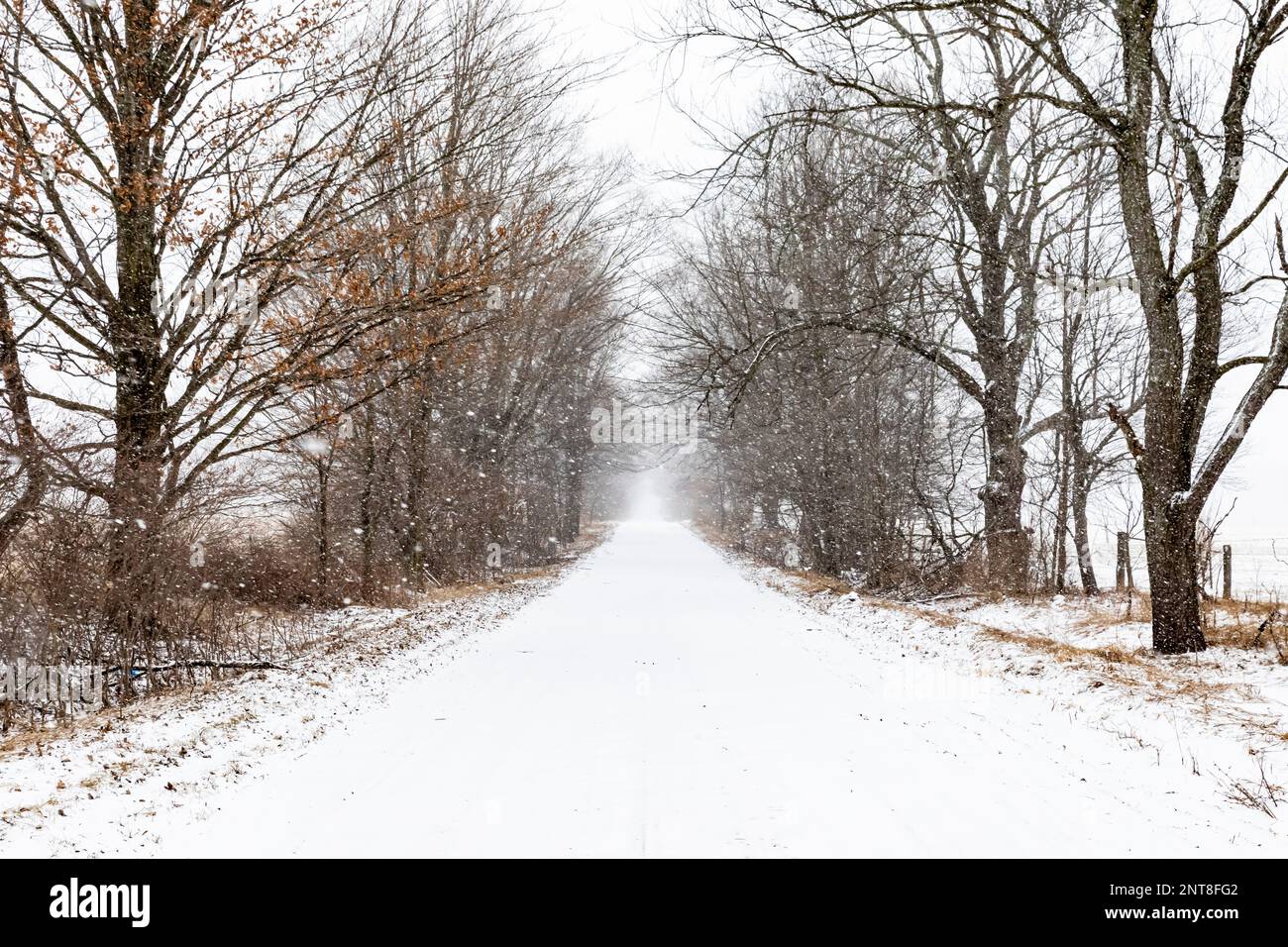 Amish farms hi-res stock photography and images - Alamy
