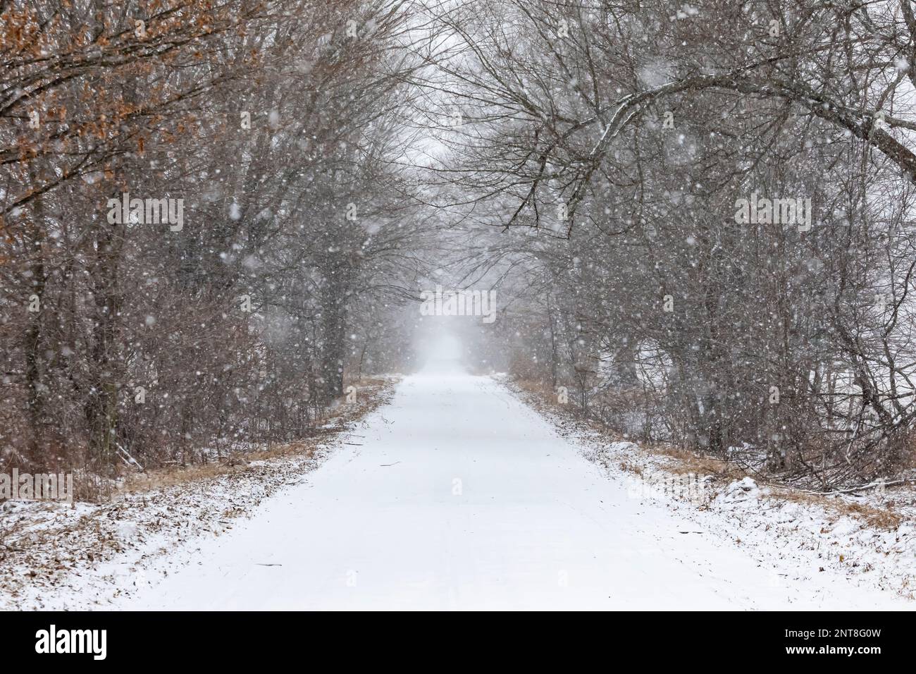 Amish farms hi-res stock photography and images - Alamy