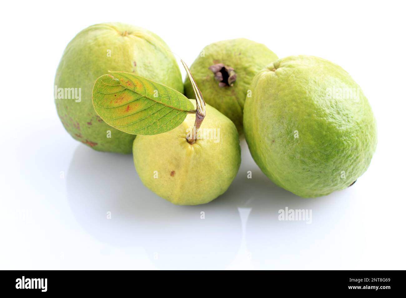 Guava psidium guajava hi-res stock photography and images - Alamy