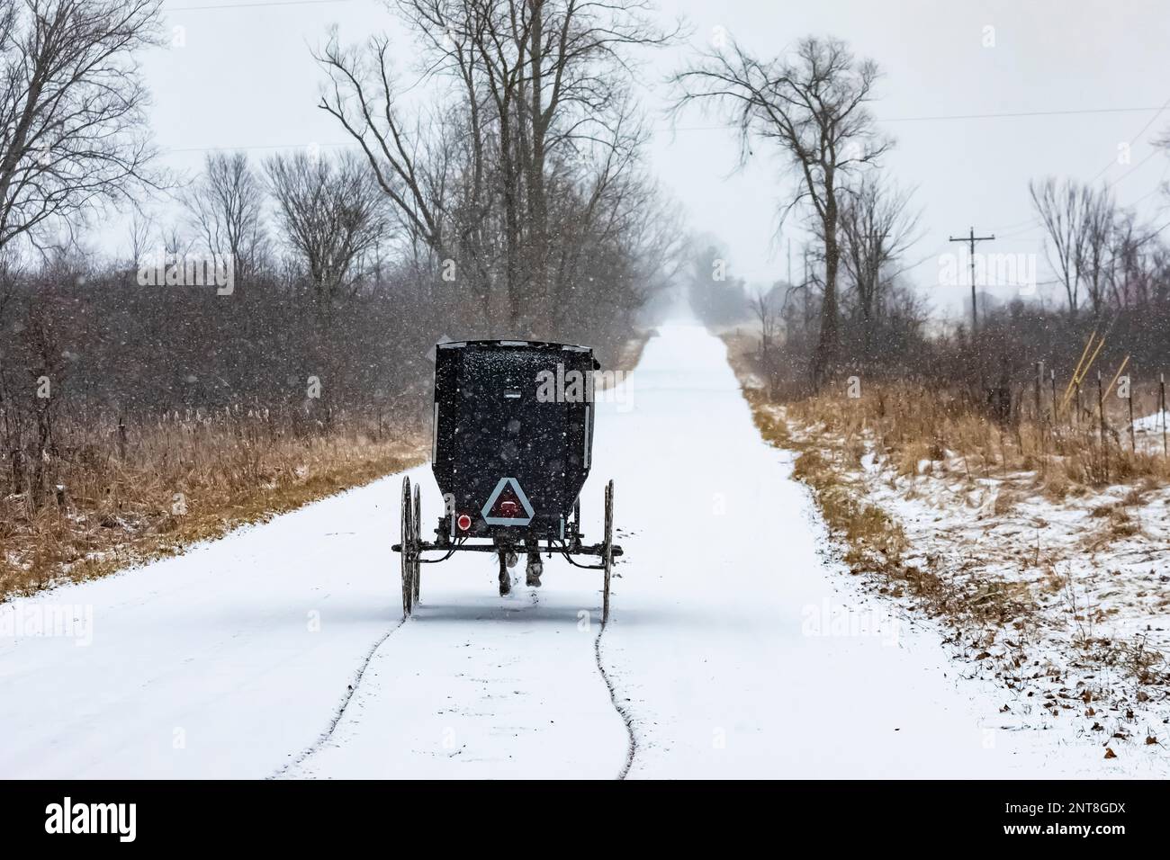 Amish buggy on a snowy back road in Central Michigan, USA Stock Photo ...