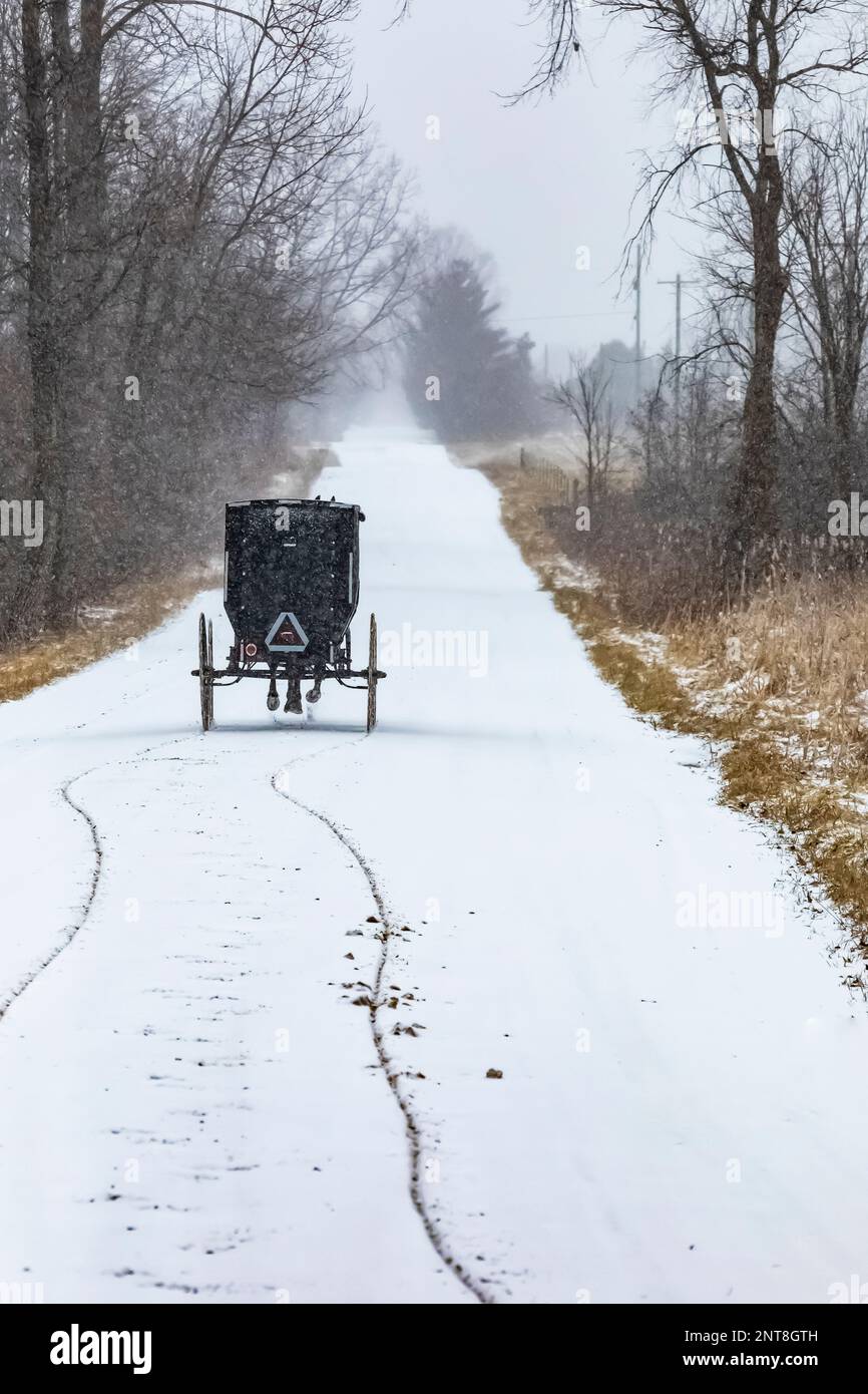 Amish buggy on a snowy back road in Central Michigan, USA Stock Photo ...