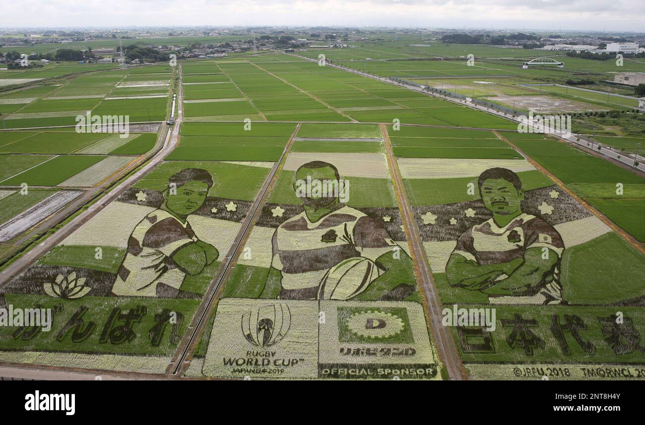 A rice paddy art photo shows Japanese natinoal team members of the Rugy ...