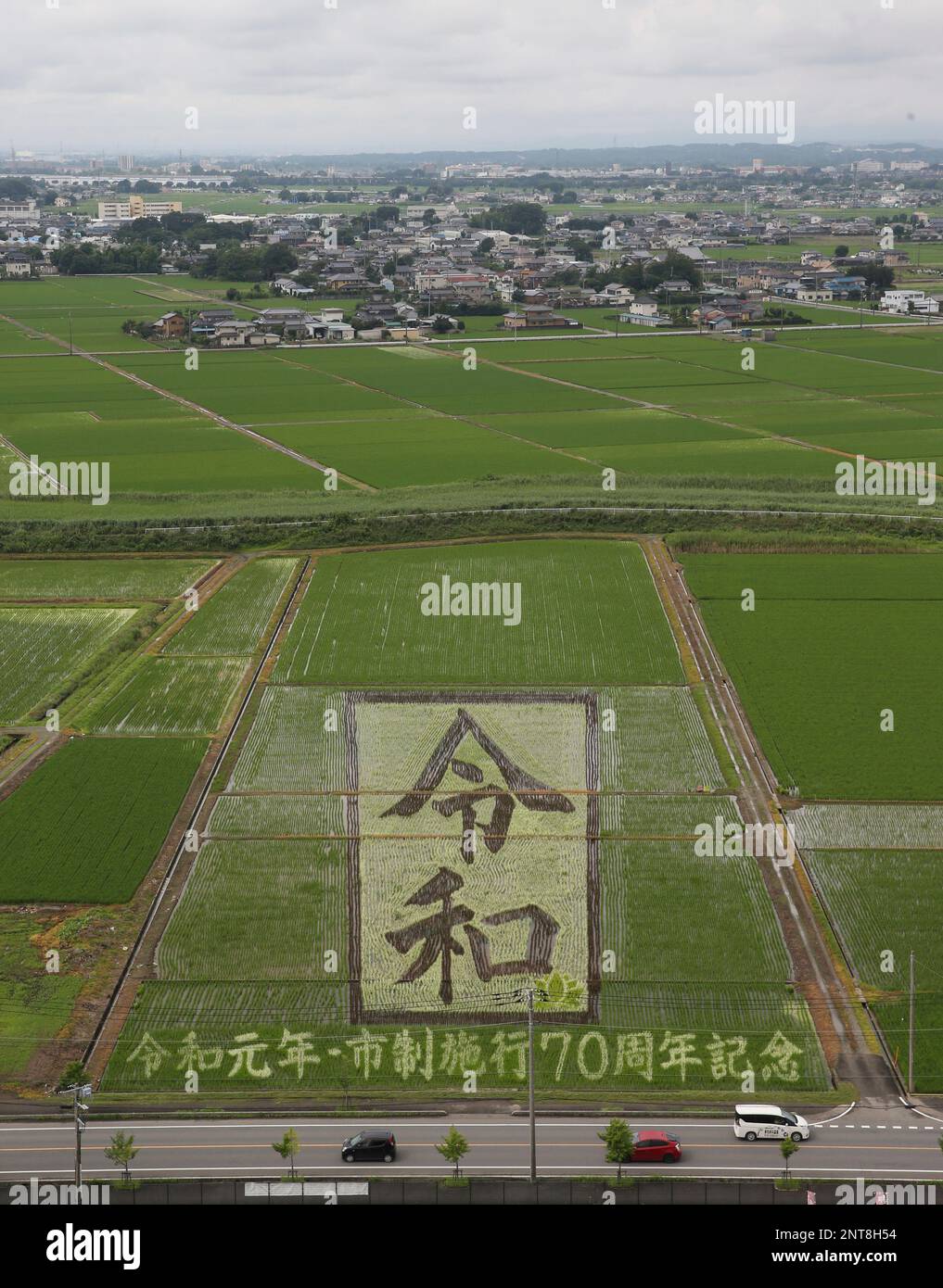 A rice paddy art photo shows Japanese new era Reiwa in Gyoda, Saitama ...