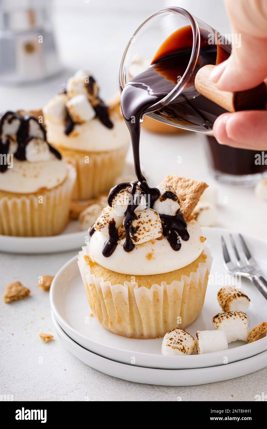 Smores cupcakes with little marshmallows, graham crackers crumbs and ...