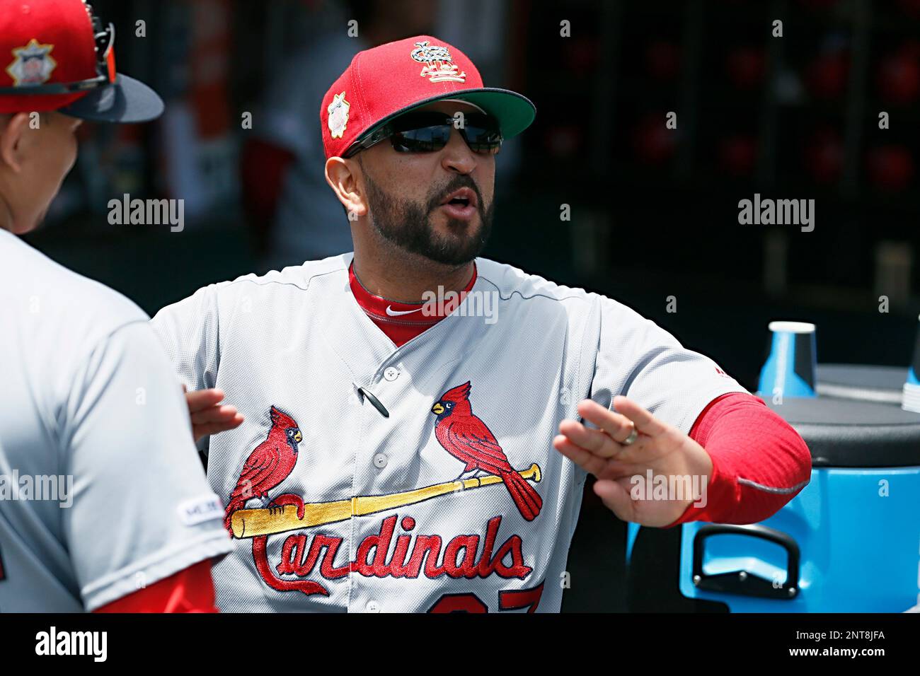 St. Louis Cardinals bench coach Oliver Marmol (37) during an MLB game ...