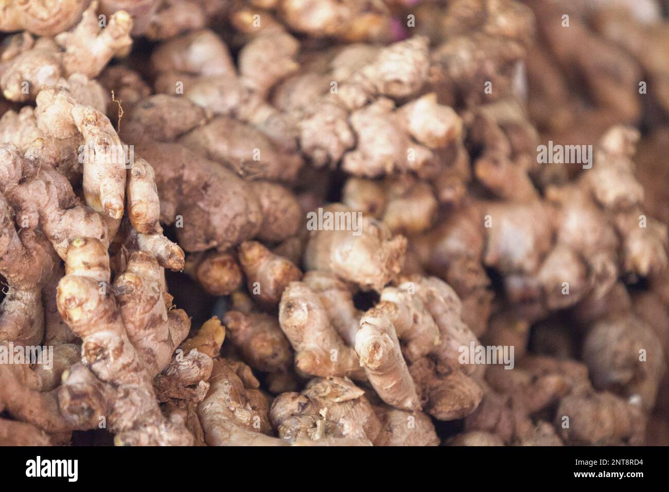 Full frame close-up on a stack of gingers for sale on a market stall ...