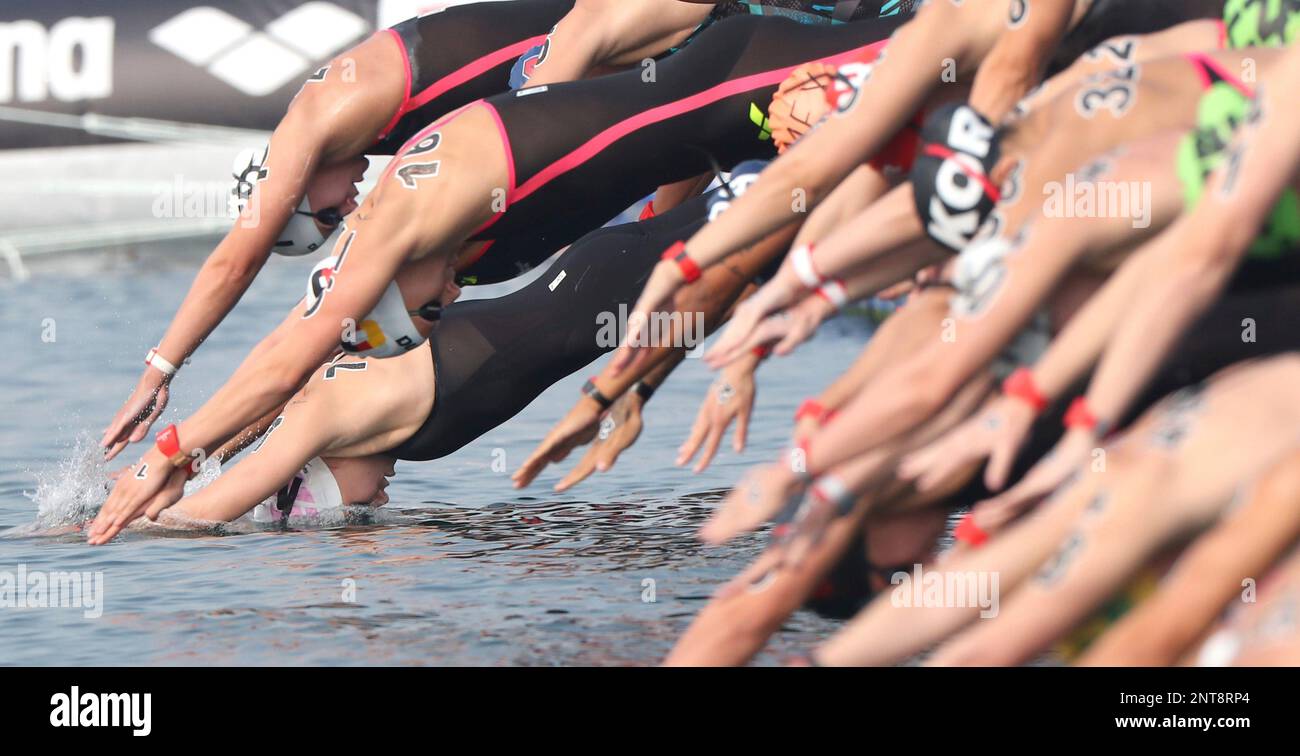 Swimmers dive Open Water Women's 10km in 18th FINA World Championships ...