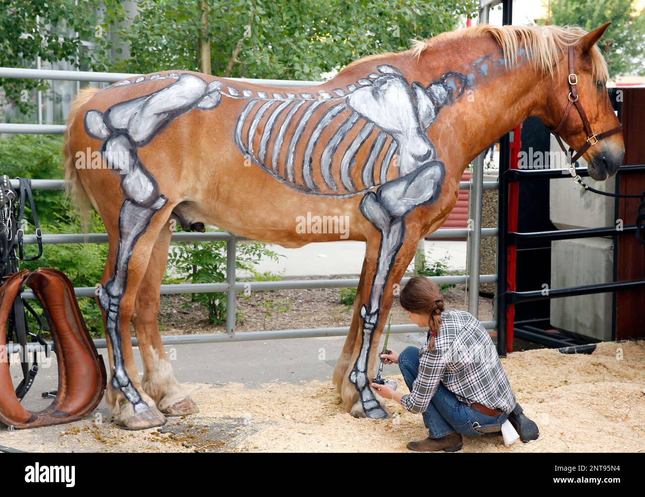 Lyala Hussein, age 20, from Calgary, Ab., puts the finishing paint ...