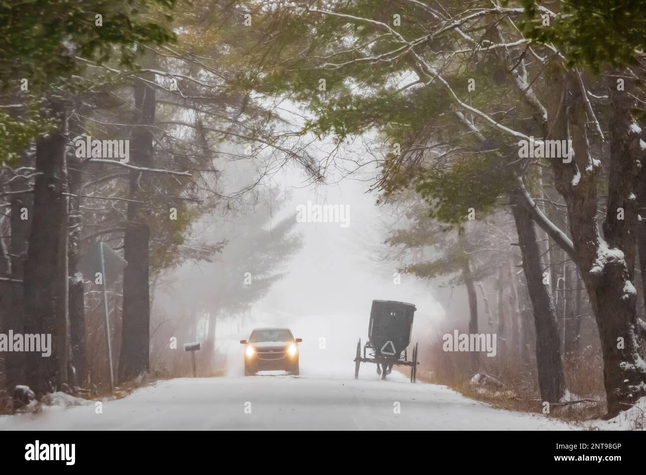 Contrast of modern and traditional transportation in a chance meeting ...