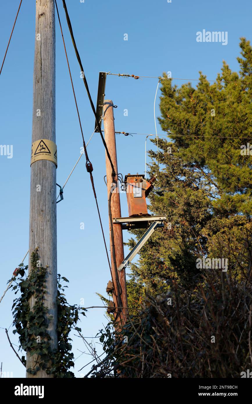 Rural rusty utility power supply poles close to trees in rural Suffolk ...
