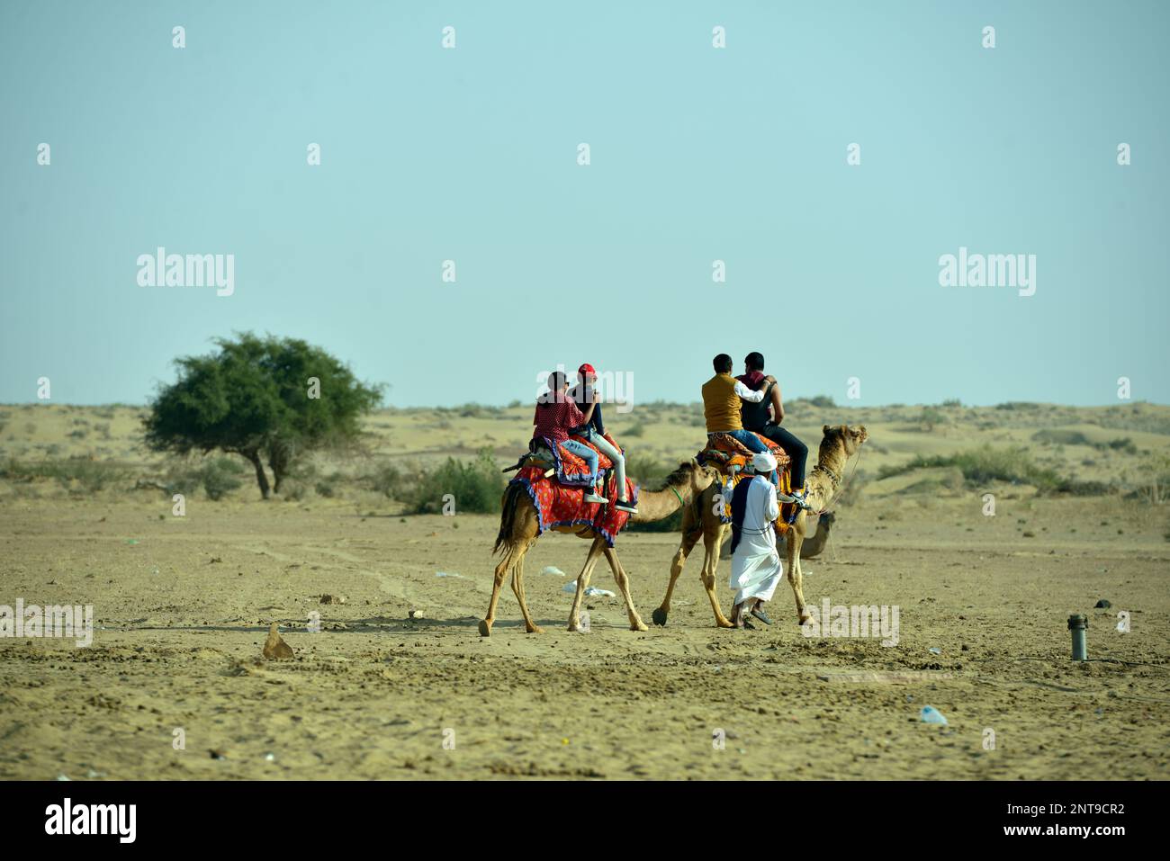 Camel dress jaisalmer rajasthan india hi-res stock photography and ...