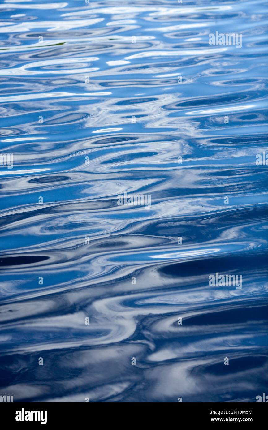 surface of Mann's Pond, Sharon, Massachusetts Stock Photo - Alamy