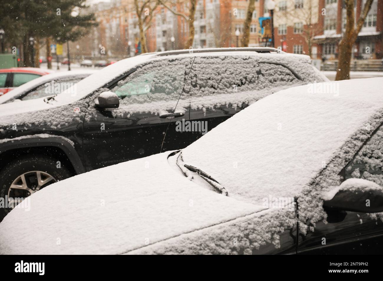 Snow on car during a cold snow storm in the city blizzard in the ...