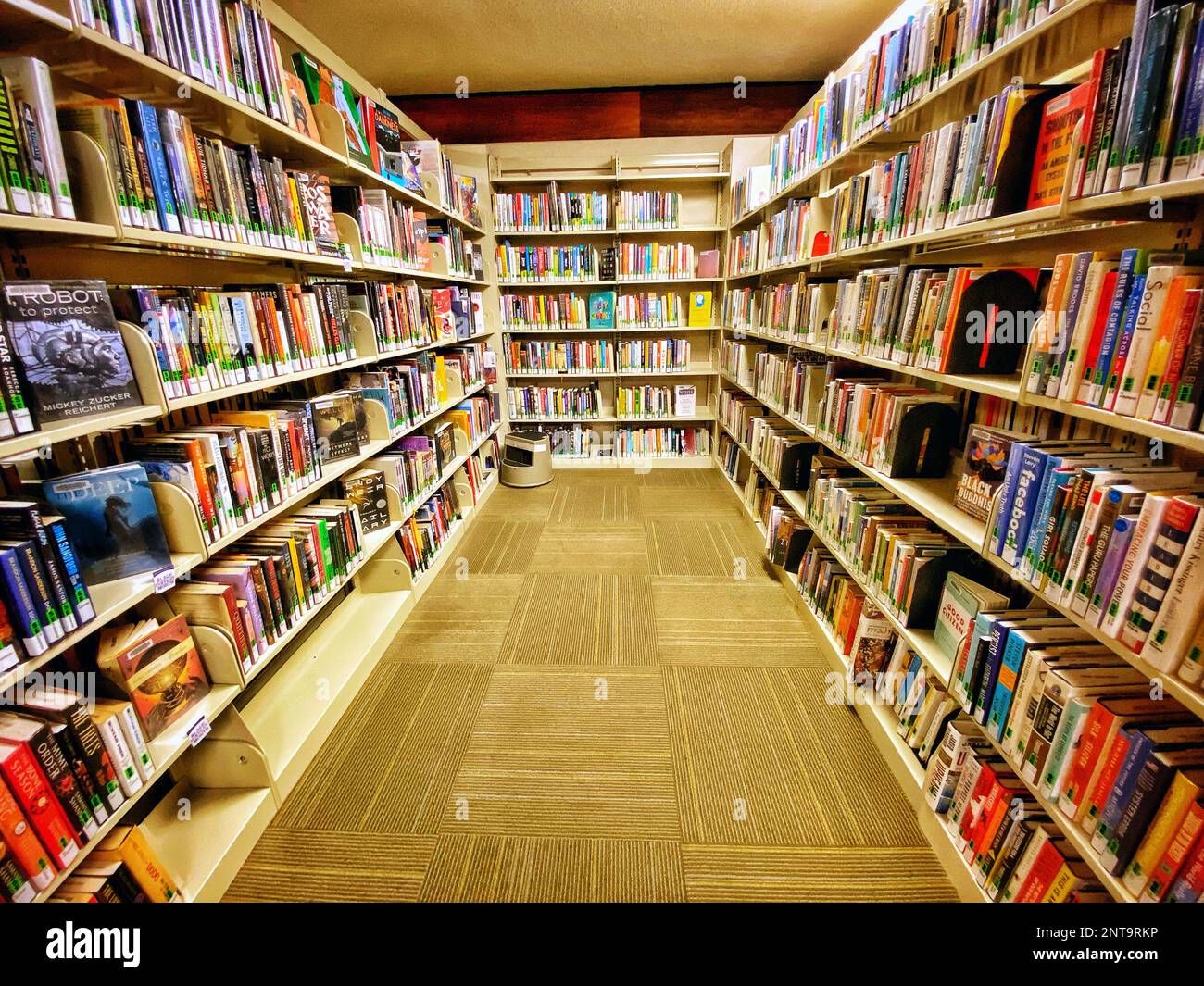 Library shelves full of graphic novels Stock Photo - Alamy