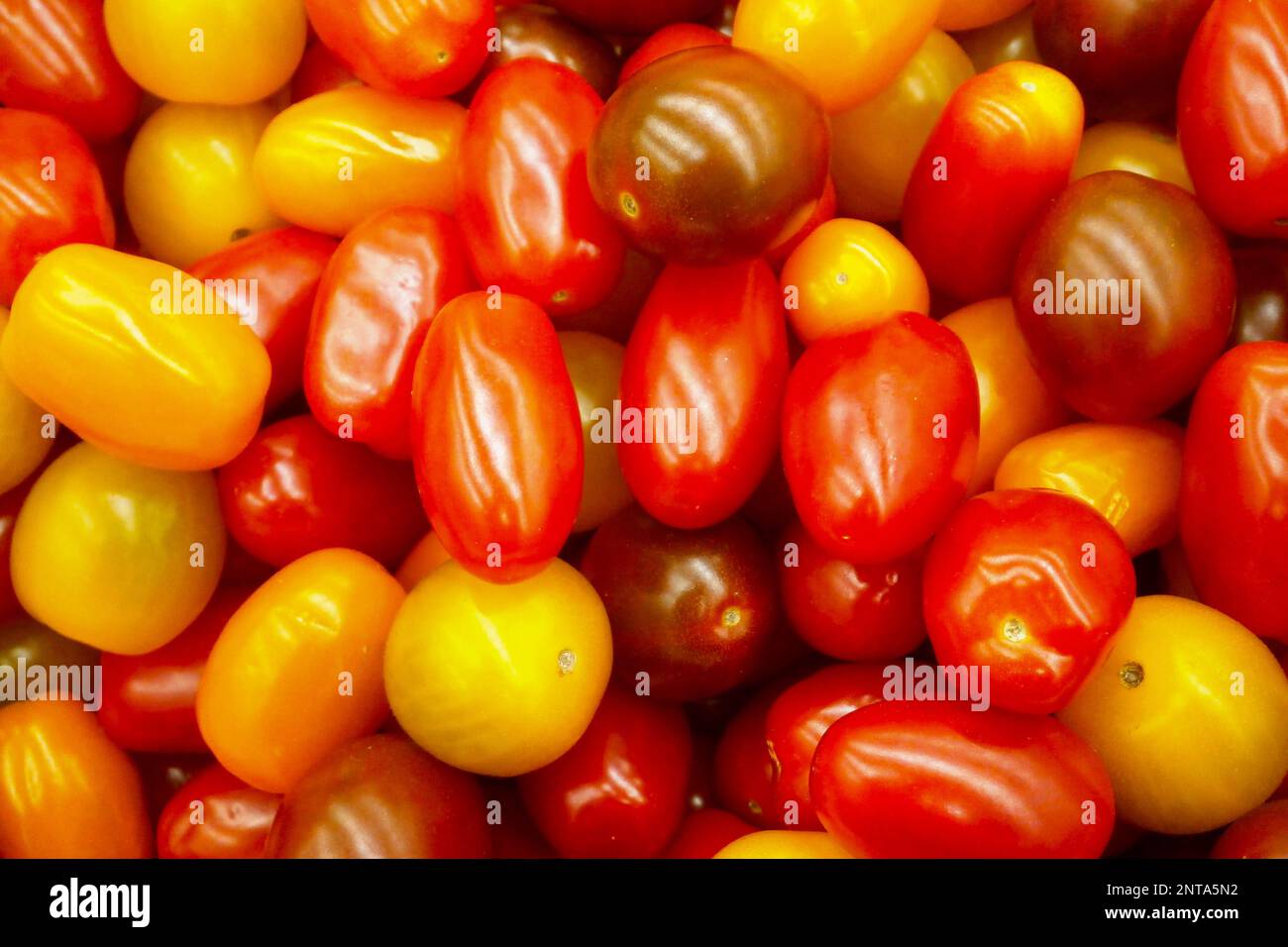 Close-up on a stack of plum tomatoes for sale on a market stall Stock ...