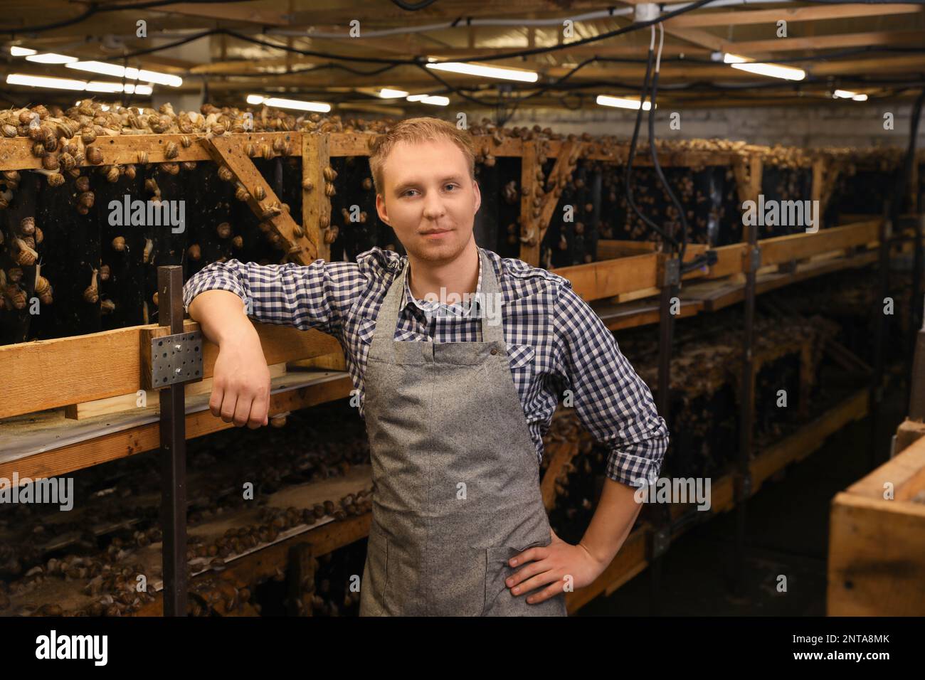 Many snails farm hi-res stock photography and images - Alamy