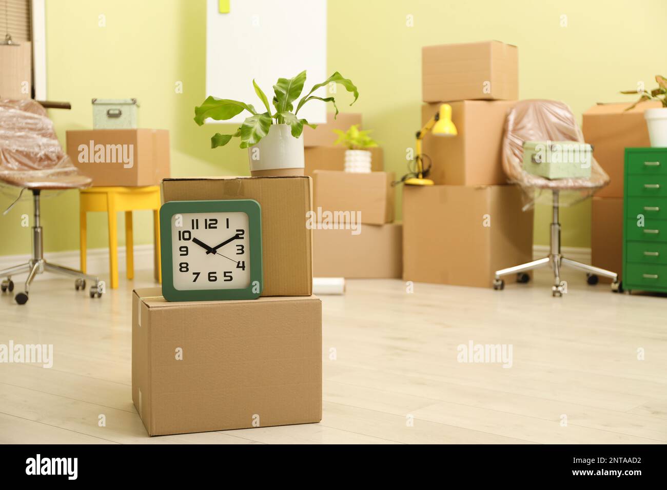 Clock and plant on cardboard boxes in new office, space for text ...