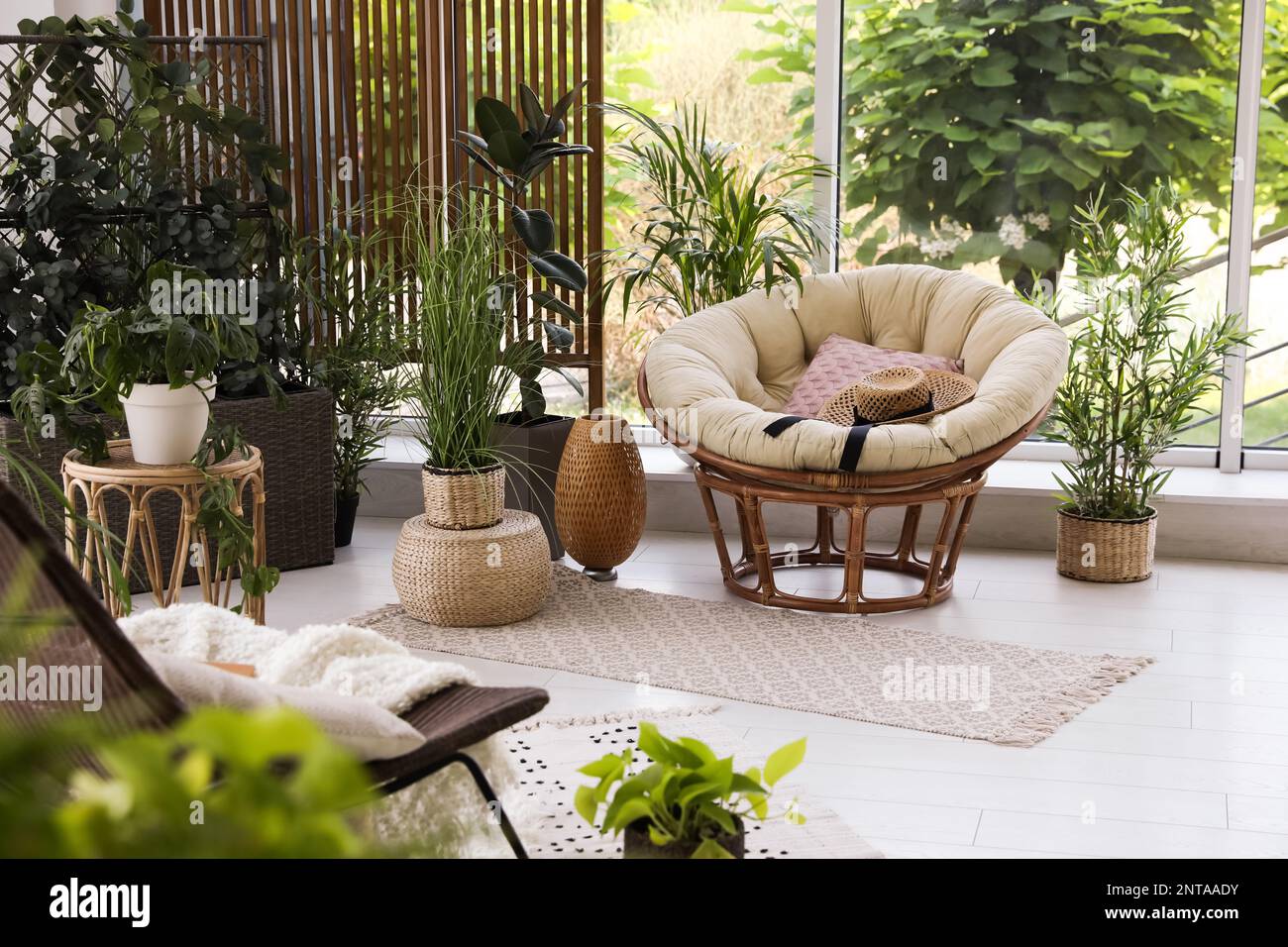 Indoor terrace interior with soft papasan chair and green plants Stock ...