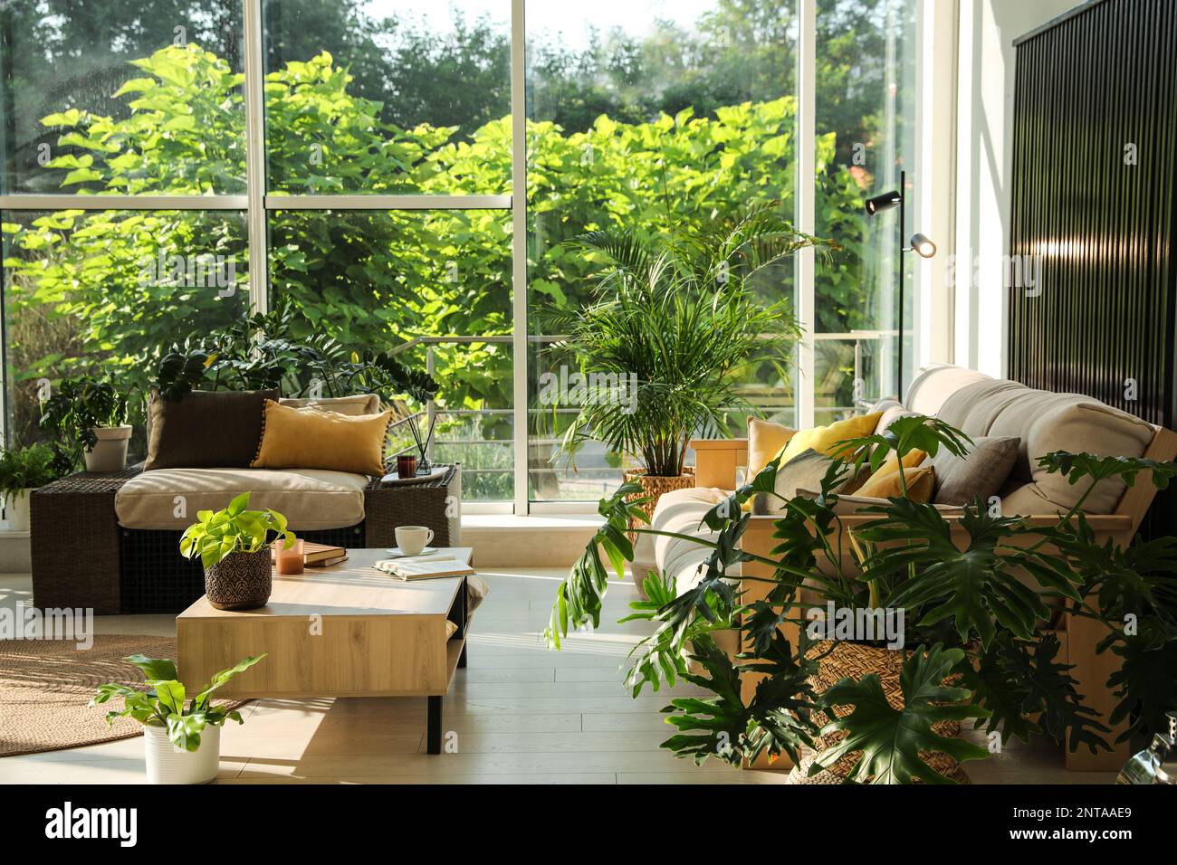 Indoor terrace interior with modern furniture and houseplants Stock ...