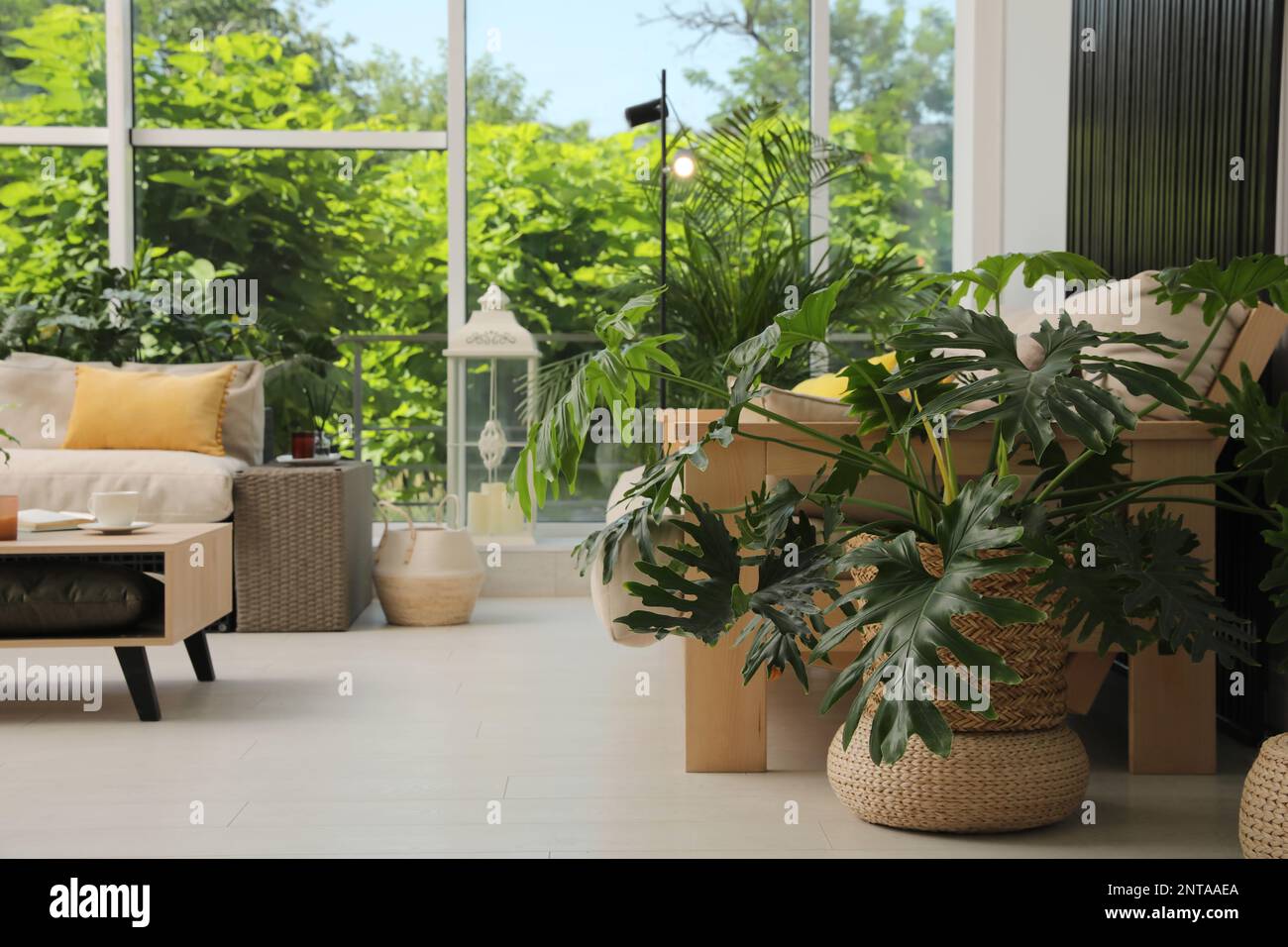Indoor terrace interior with modern furniture and houseplants Stock ...