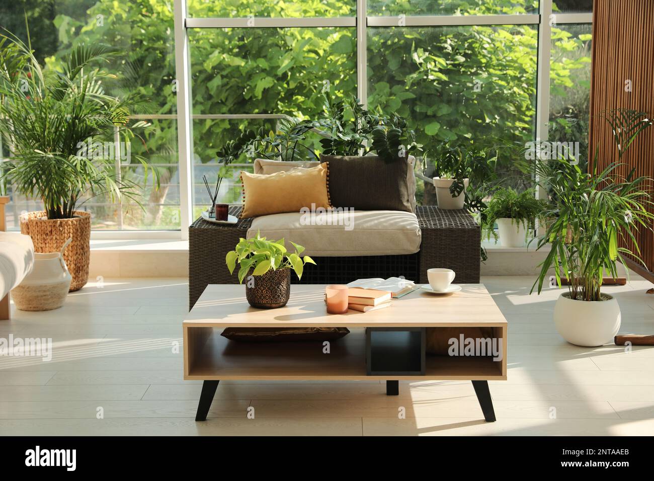 Indoor terrace interior with modern furniture and houseplants Stock ...