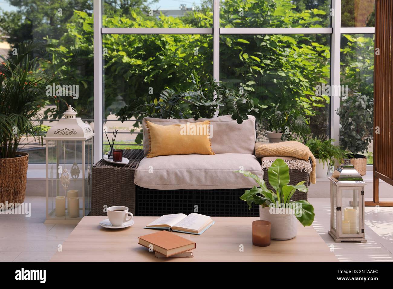 Indoor terrace interior with modern furniture and houseplants Stock ...