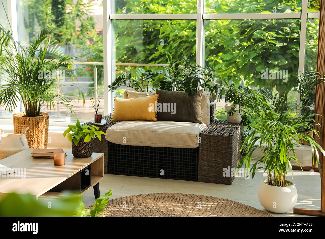 Indoor terrace interior with modern furniture and houseplants Stock ...