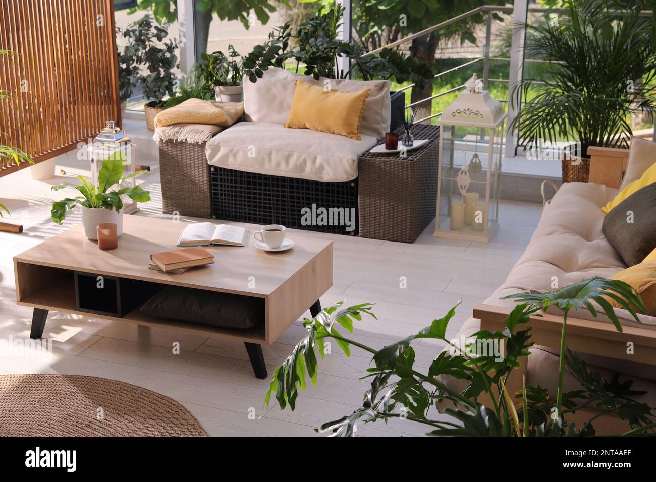 Indoor terrace interior with modern furniture and houseplants Stock ...