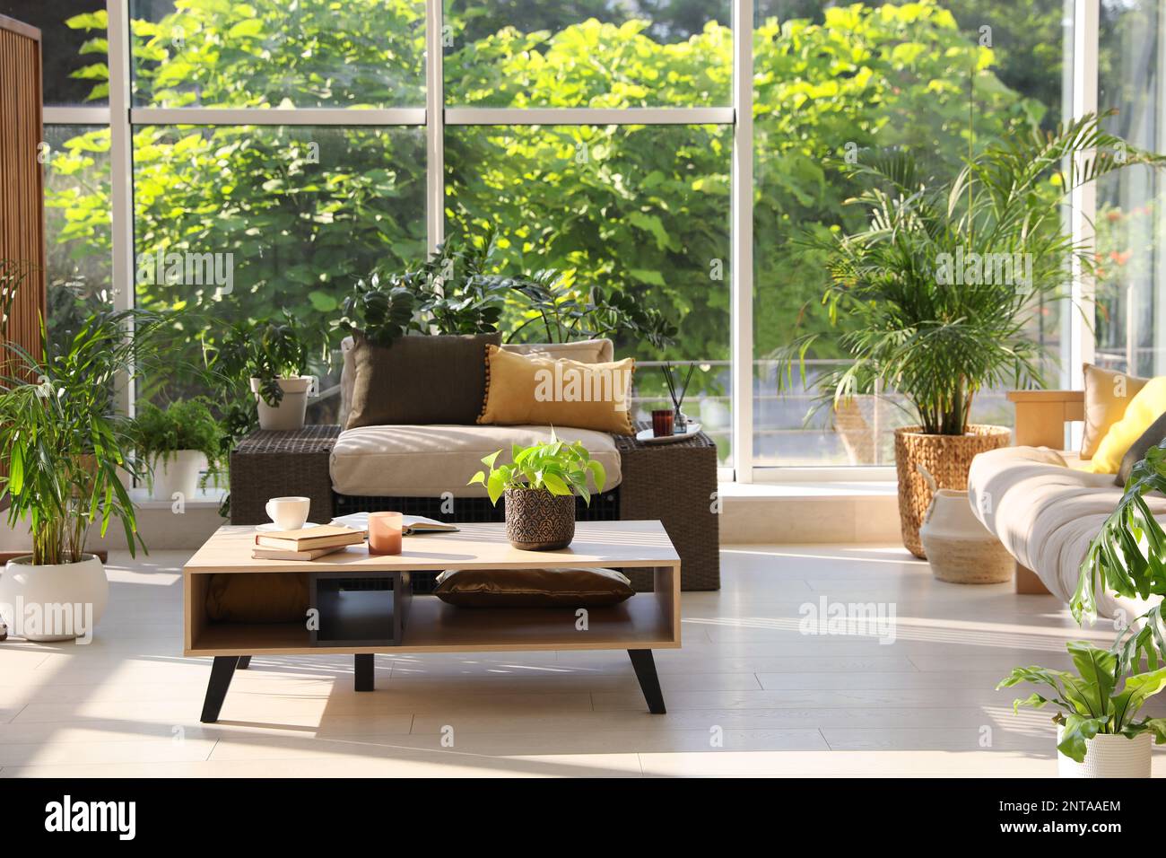 Indoor terrace interior with modern furniture and houseplants Stock ...
