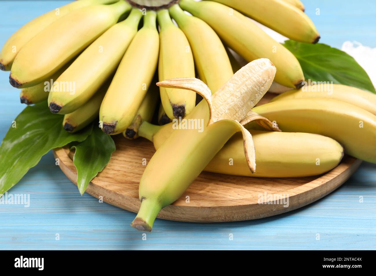 Tasty ripe baby bananas on light blue wooden table Stock Photo - Alamy