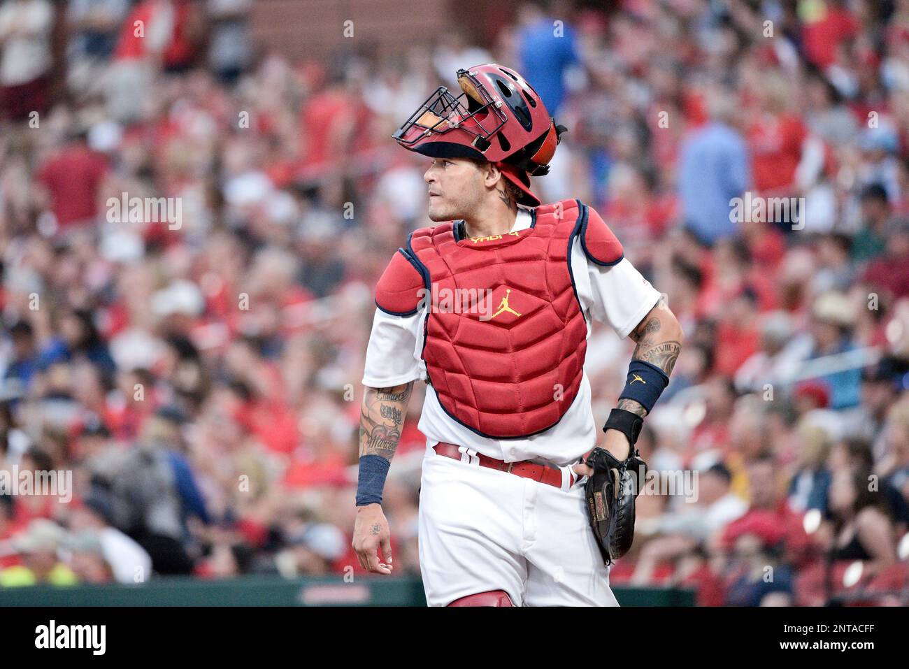 ST. LOUIS, MO - JUNE 26: St. Louis Cardinals Catcher Yadier Molina (4 ...