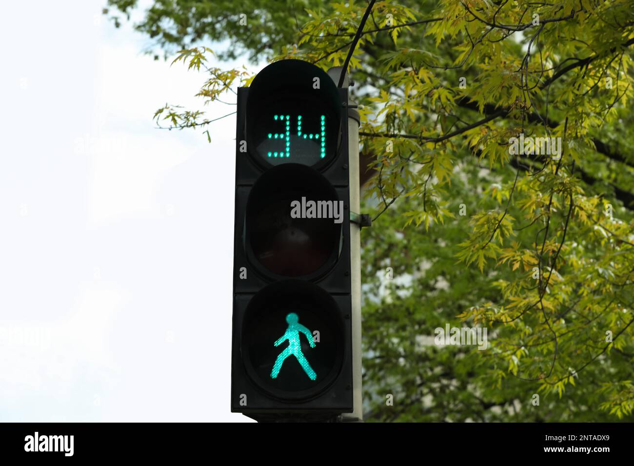 Modern traffic light with timer in city Stock Photo - Alamy