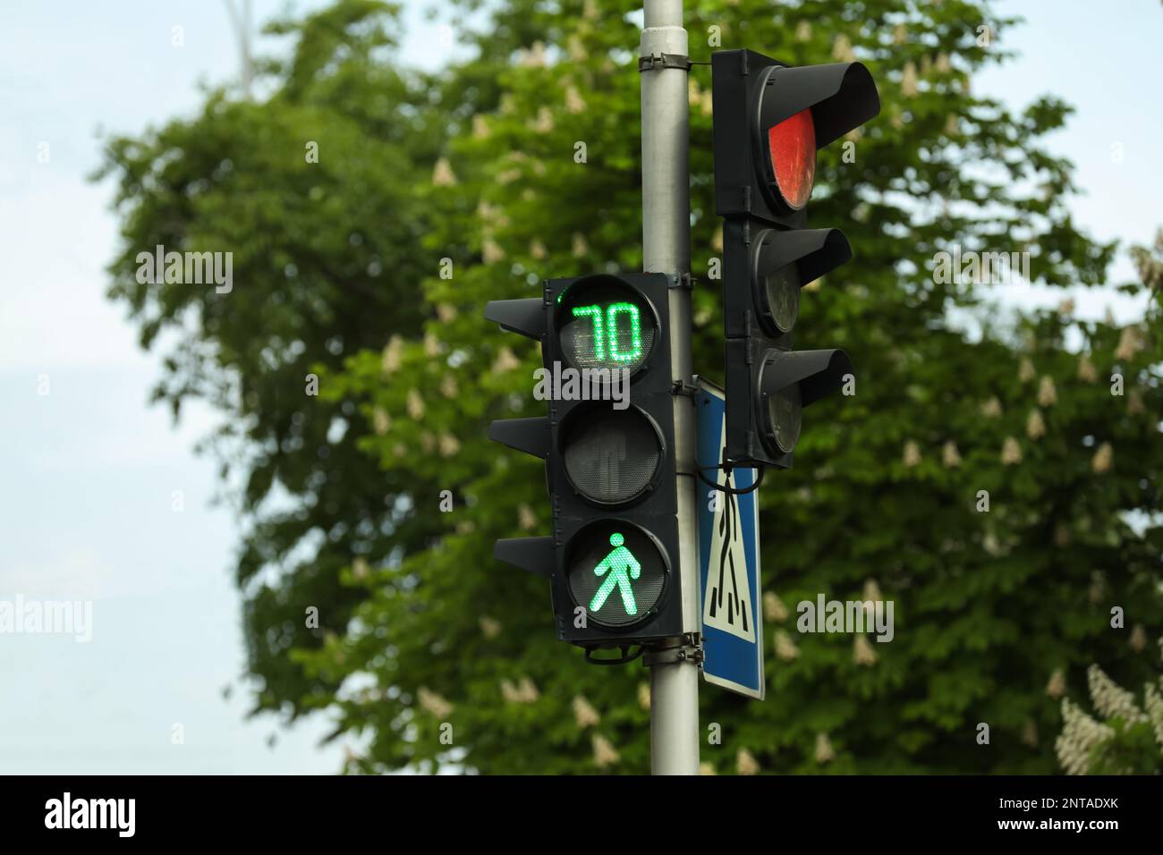 View of modern traffic lights on city street Stock Photo - Alamy