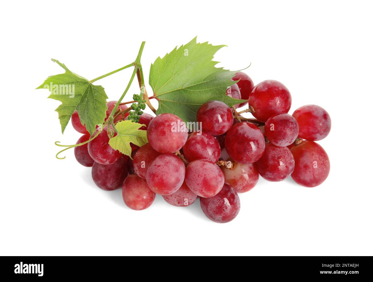 Cluster of ripe red grapes with green leaves on white background Stock Photo - Alamy