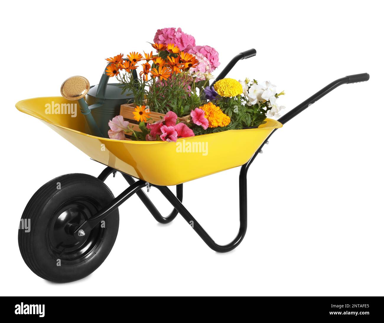 Yellow wheelbarrow with different flowers and gardening tools isolated ...