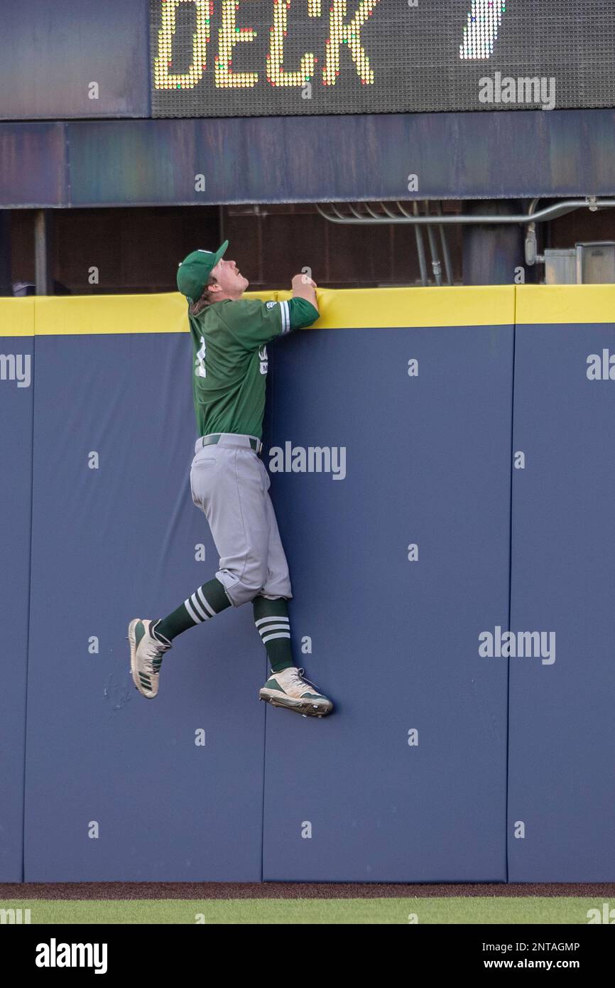 Eastern Michigan Eagles outfielder Shane Easter (1) climbs up the fence ...