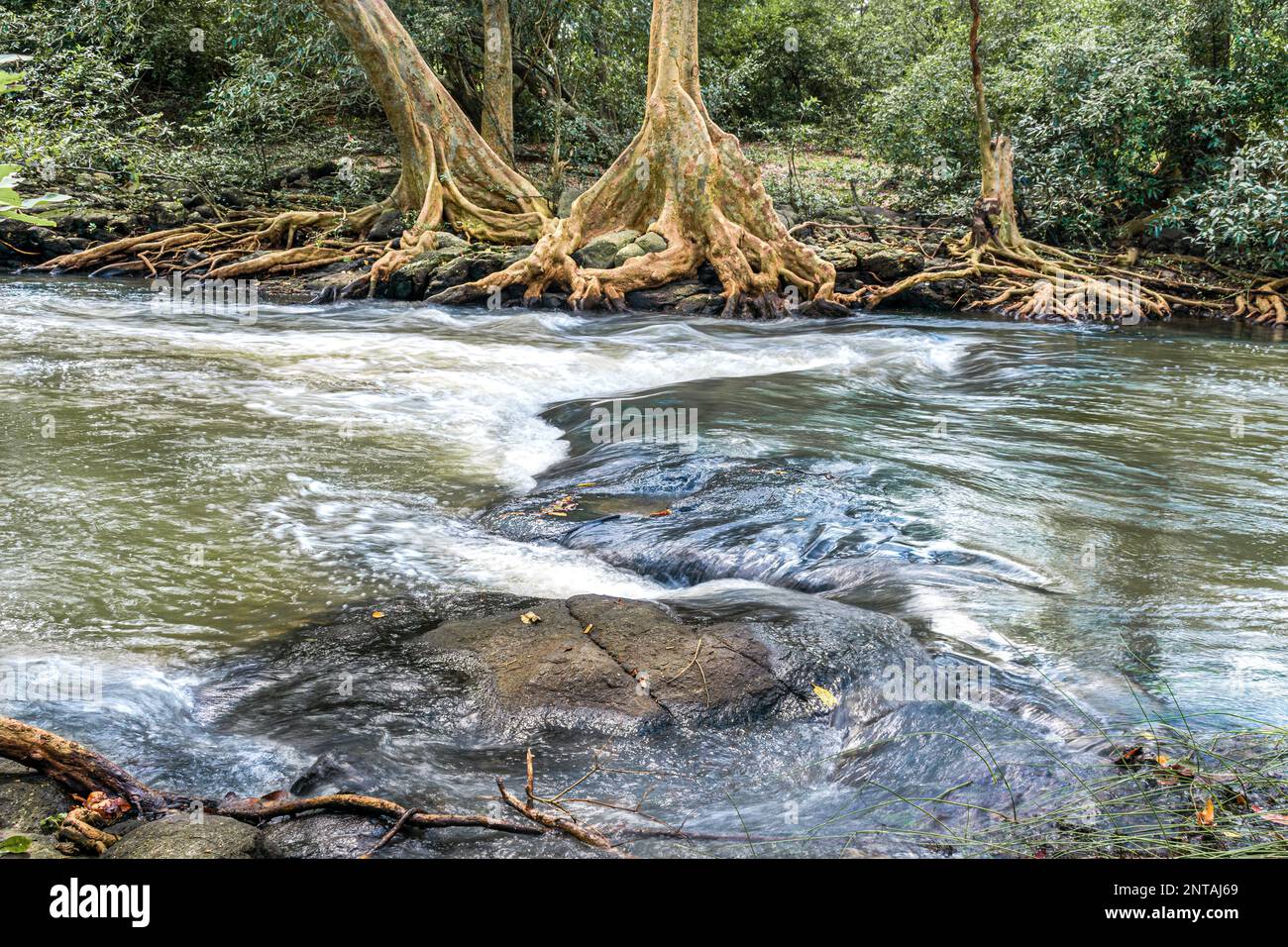 Focus stracking hi-res stock photography and images - Alamy