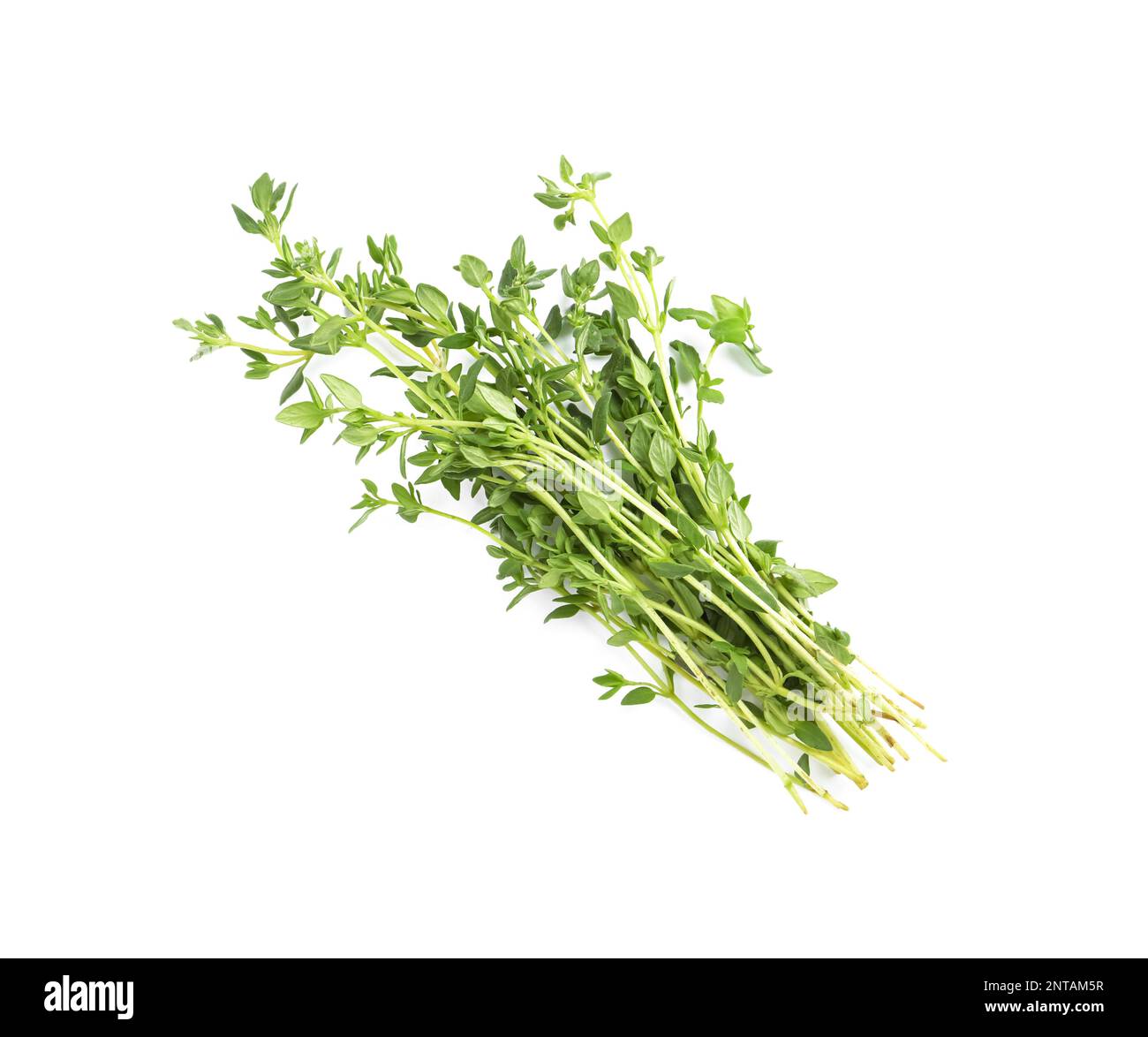 Bunch of aromatic thyme on white background, top view. Fresh herb Stock ...