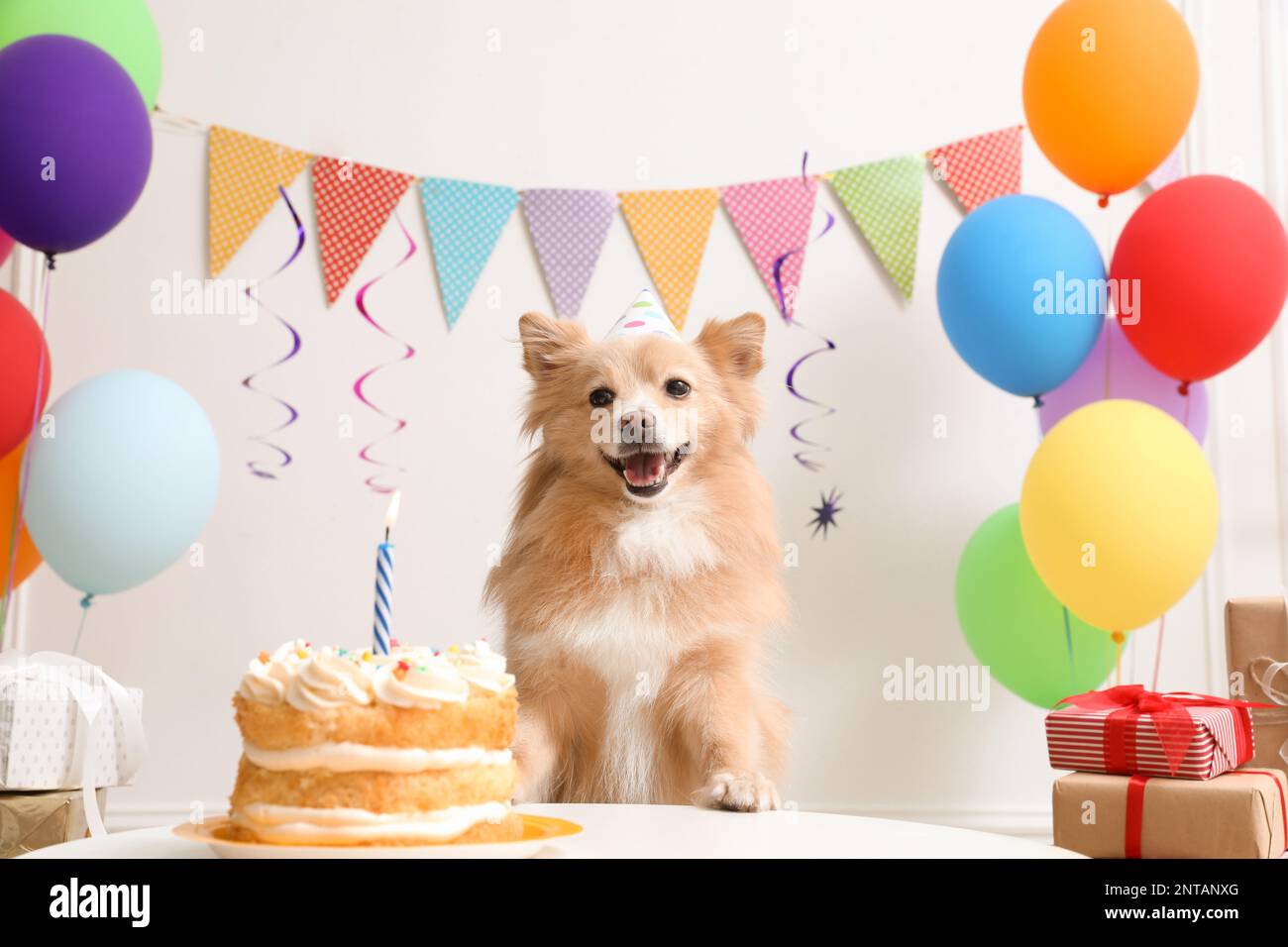 Cute Happy Birthday Dogs