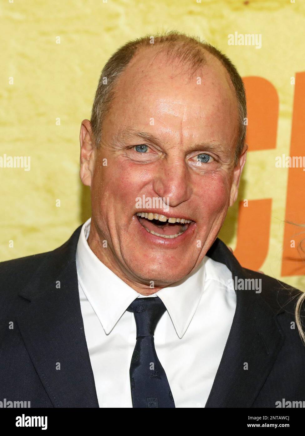Actor Woody Harrelson attends the premiere of Focus Features ...
