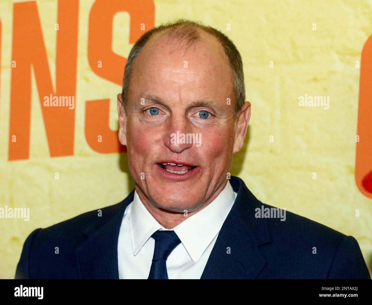 Actor Woody Harrelson attends the premiere of Focus Features ...