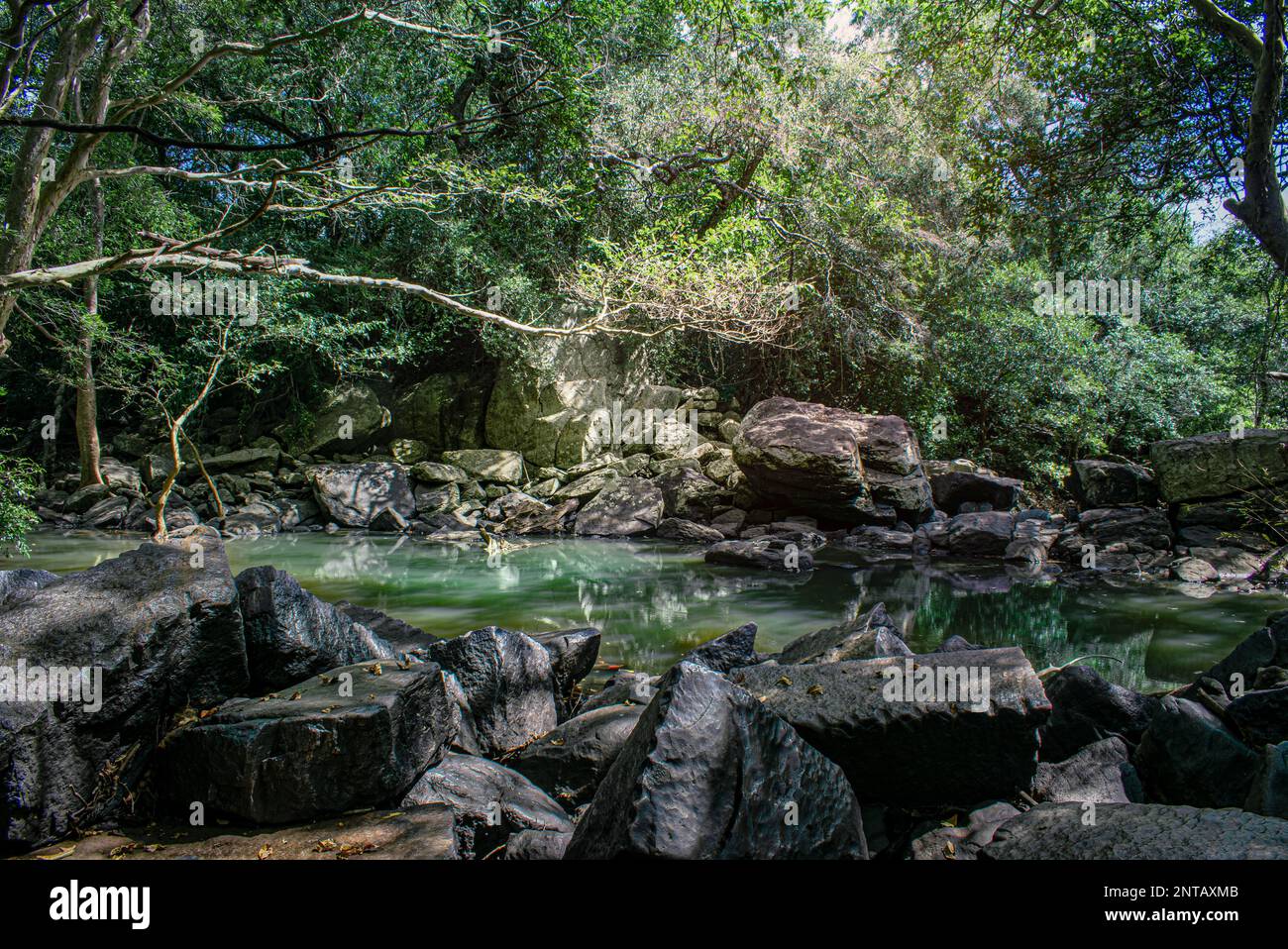 beautiful landscape photograph, small waterfall in the forest ...