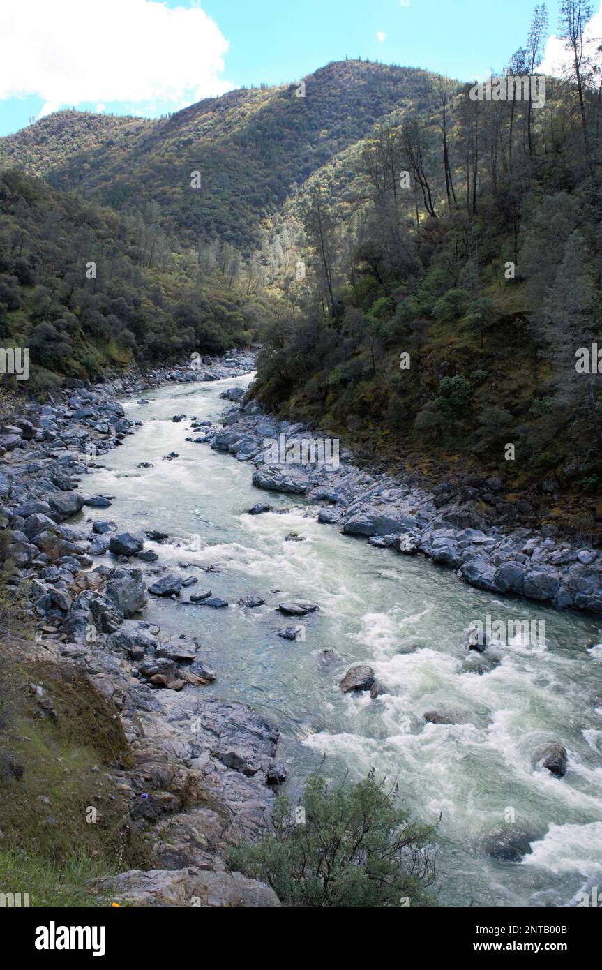 Yuba River in California Stock Photo - Alamy