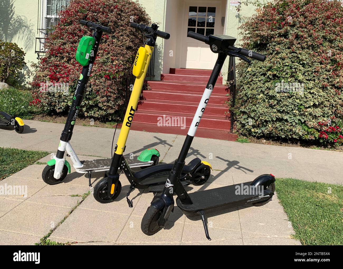 Detailed view o Lime (left), Bolt and Bird electric scooters, Monday ...