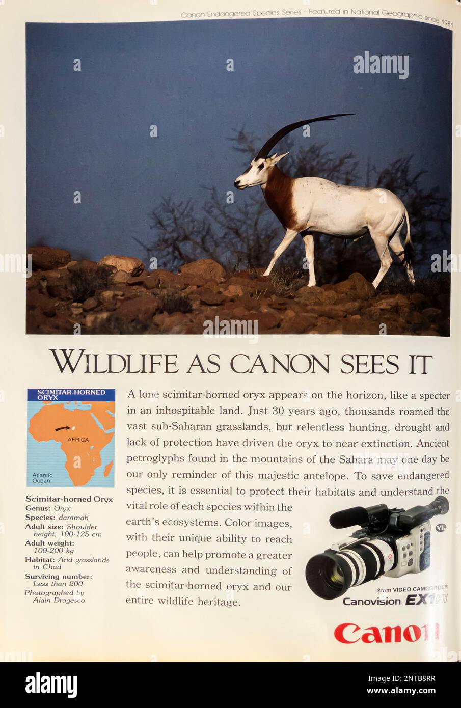 Canonvision hi-res stock photography and images - Alamy